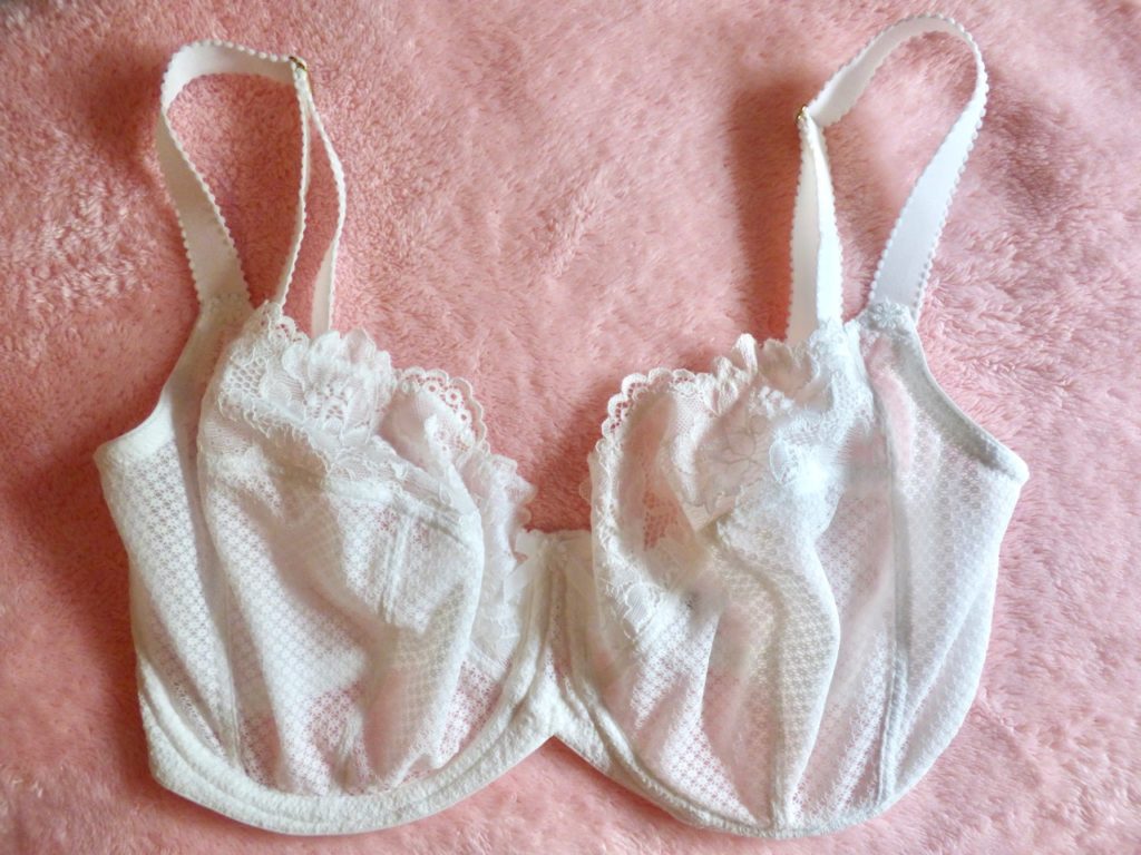 CHARNOS LINGERIE | The Everyday Luxury of Zara – Honestly, Becky!