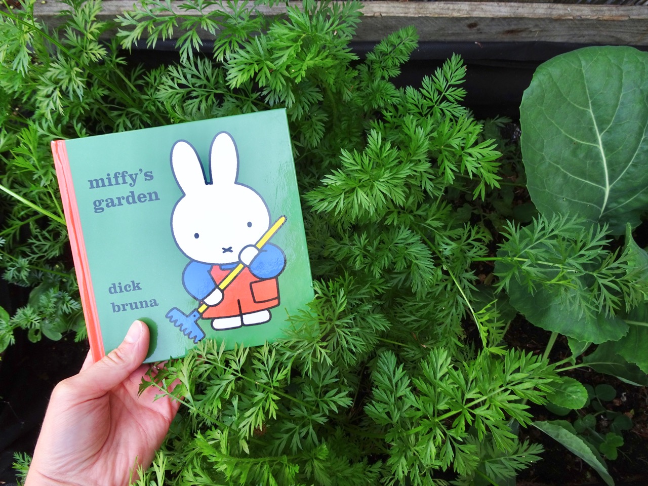 On the Go with Miffy: A Miffy Book and Lunchbox Review – Honestly, Becky!