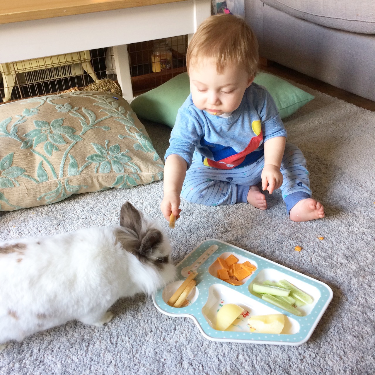 The Day Our Rabbit Died: A Toddler’s First Long Goodbye – Honestly, Becky!