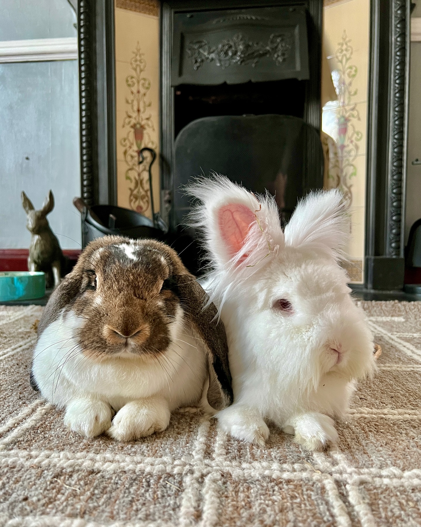 Honestly, Becky! – Motherhood Lifestyle